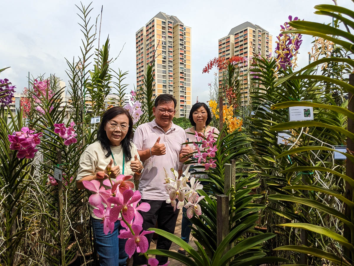 Community In Bloom Awards