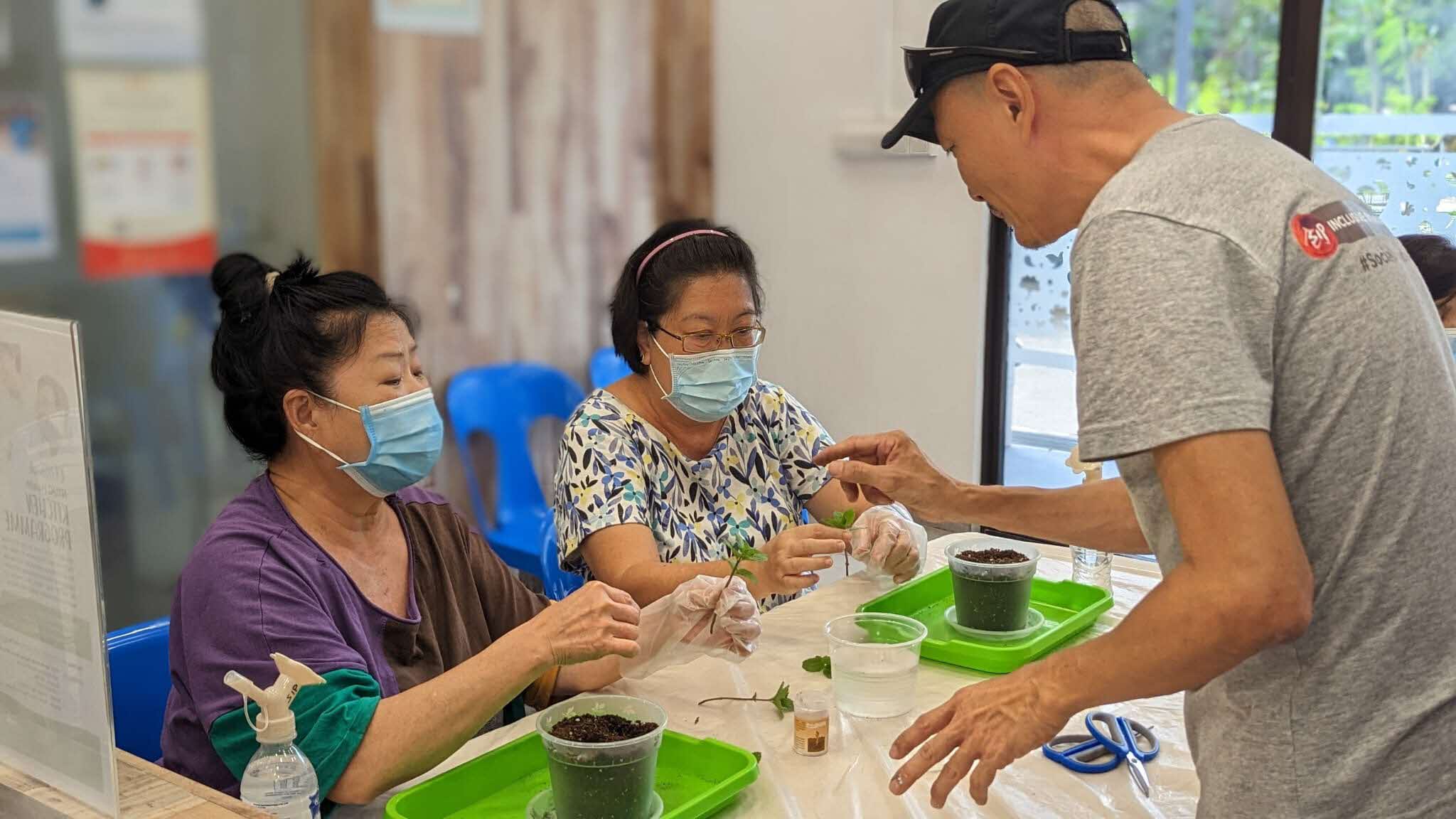 Social Enterprise Community Urban Farm (SECUF)